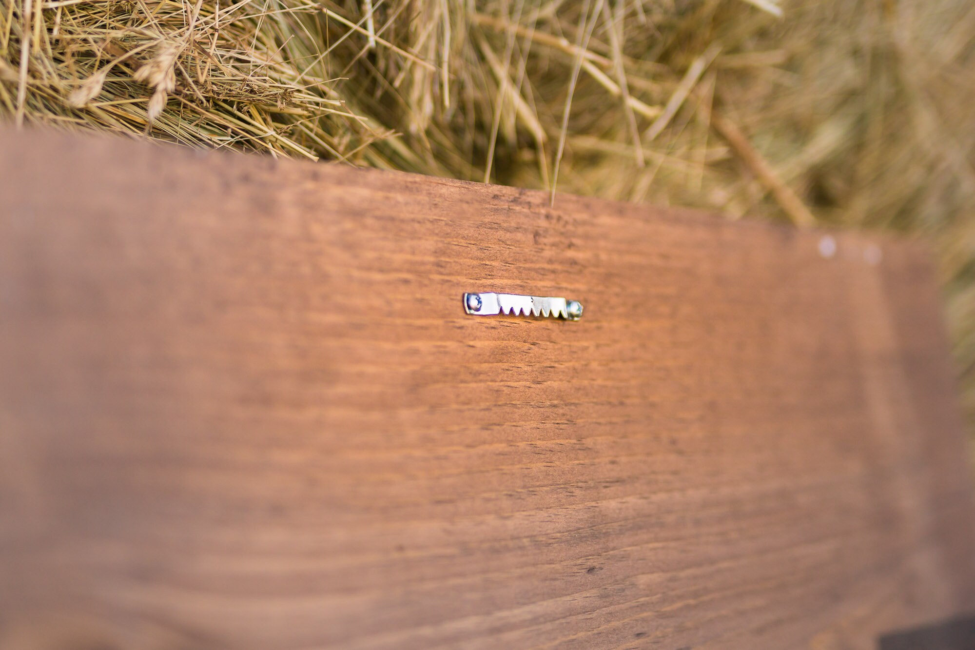 Eat Beef Sign Beef Sign Beef It's What's for Dinner - Etsy