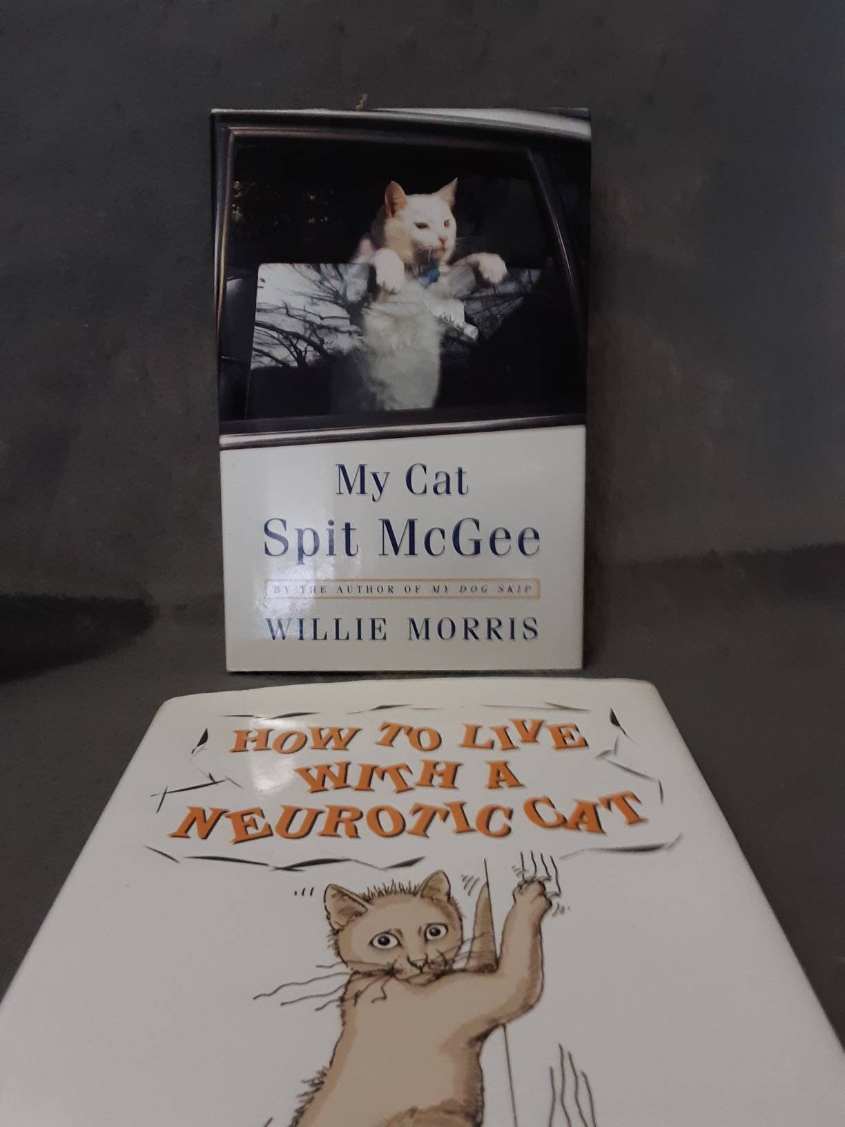 How To Live With A Neurotic Cat Book and My Cat Spit McGee | Etsy