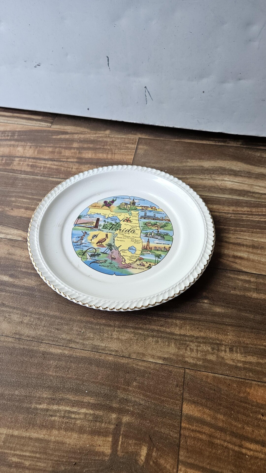 Florida State Plate Gold Trim Souvenir Collectible State Plate - Etsy