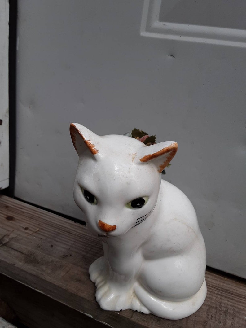 Beige Off White Cat with Green Eyes Tan Ears Nose and Mouth | Etsy