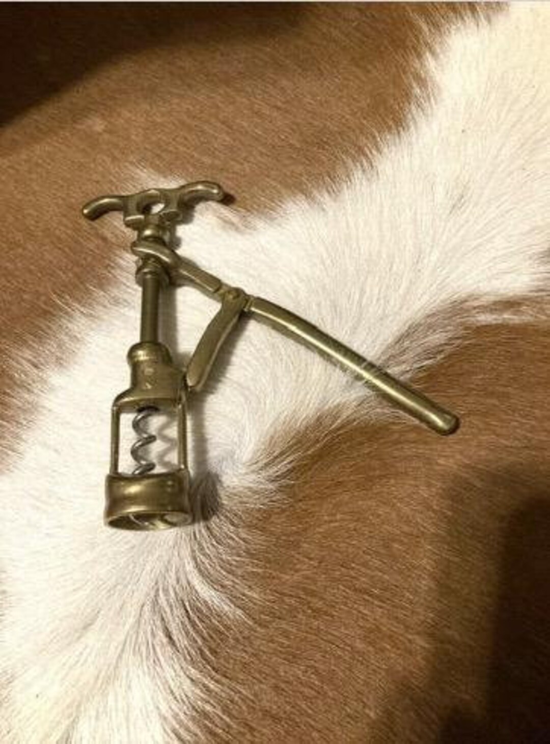 Rare 19th Century Solid Brass Leverage Corkscrew by Gattorna Lion Du ...