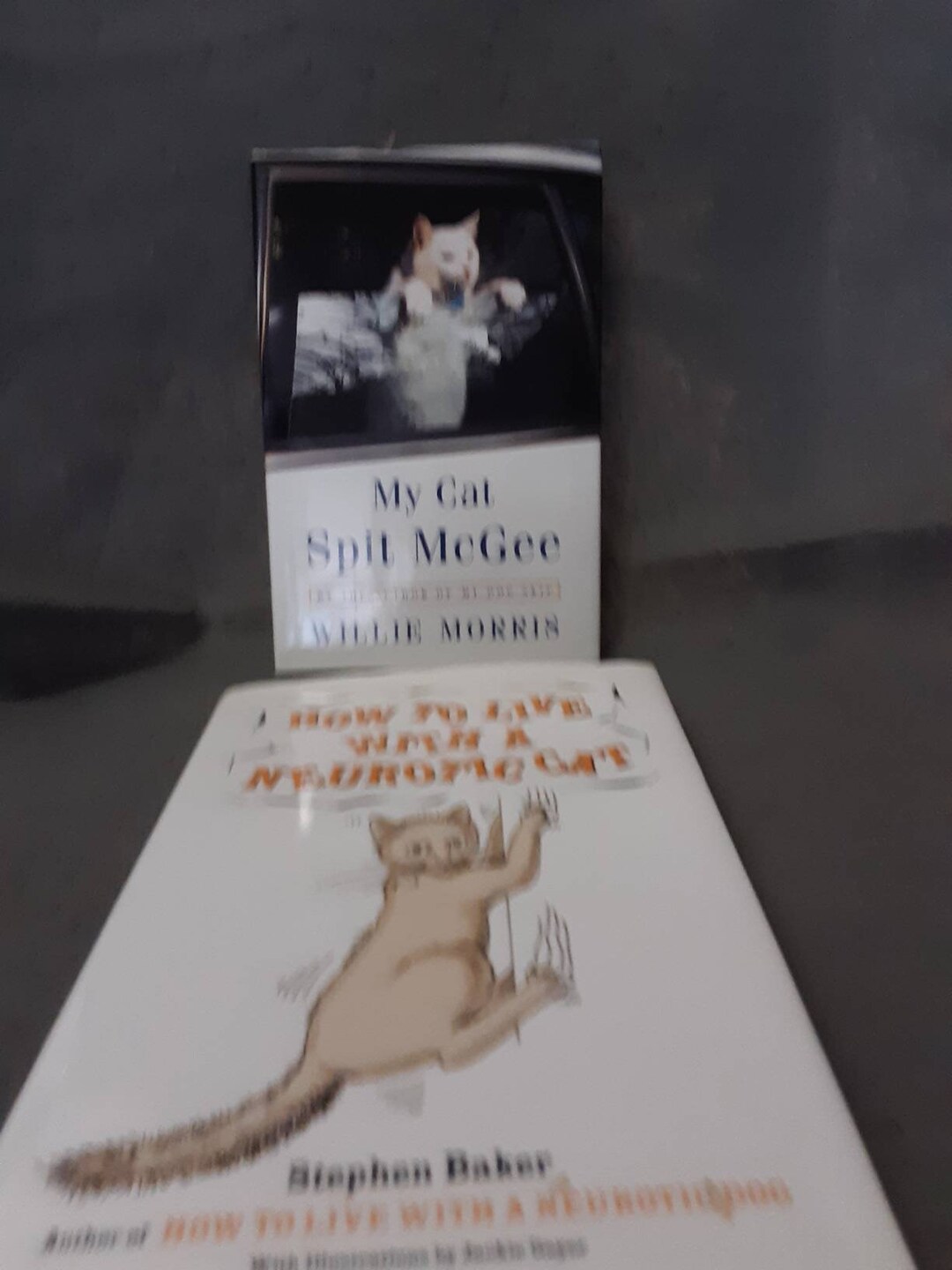 How to Live With A Neurotic Cat Book and My Cat Spit Mcgee Book - Etsy