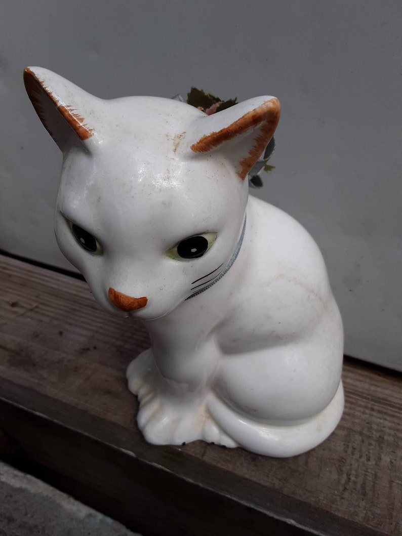 Beige Off White Cat with Green Eyes Tan Ears Nose and Mouth | Etsy