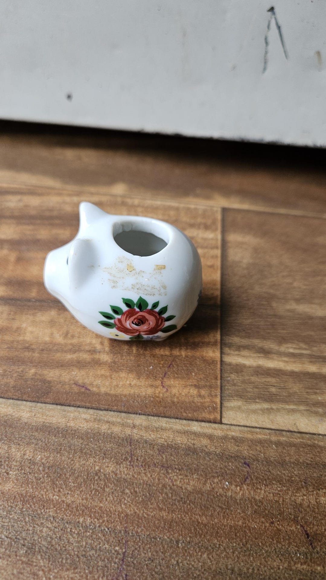 Galveston Island Souvenir Pig Hog Tooth Pick Holder - Etsy