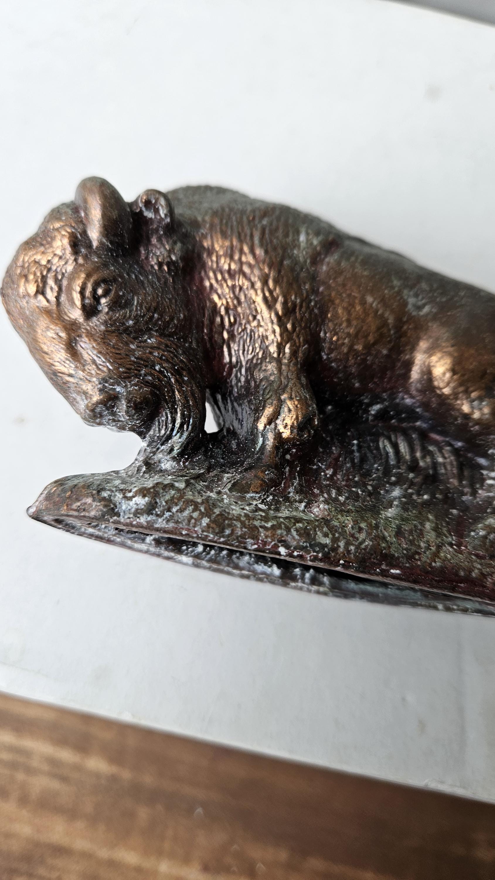 Vintage Pecan Shell Buffalo Figurine Sculpture - Etsy