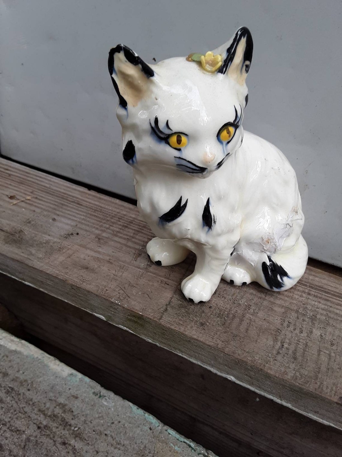 Beige Cat with Grey Black and Gold Eyes with Flower on Head | Etsy