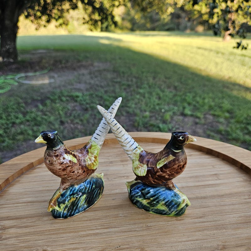 Pheasant Salt and Peppers - Etsy