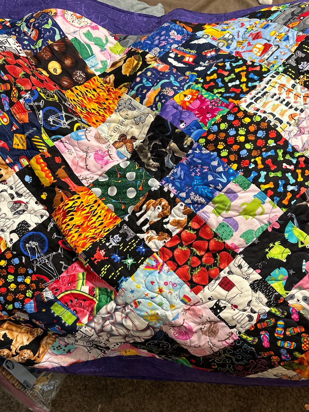 I Spy Quilt With Purple Borders Cats, Bunnies, Bicycle, Pizza Peppers ...