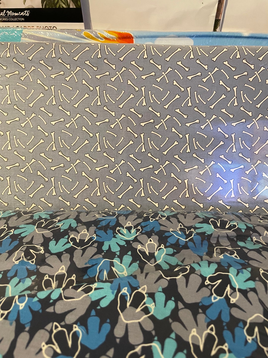 Glow-o-saurus Dino Bones Grey 45”. ROAR!! I Glow in the Dark! Great for ...