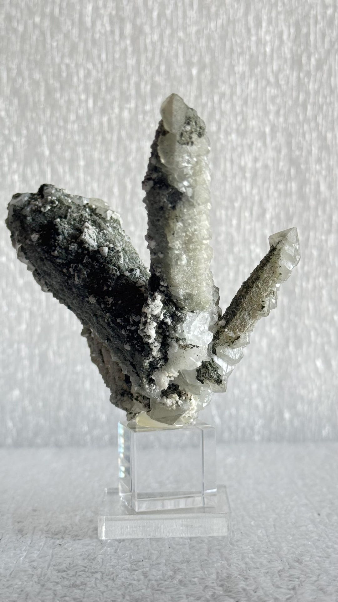 Elestial Skeletal Well Terminated Mongolian Quartz Scepter | 120 Grams ...