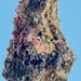 Crocoite is a Mineral Consisting of Lead Chromate, Pbcro4, and ...