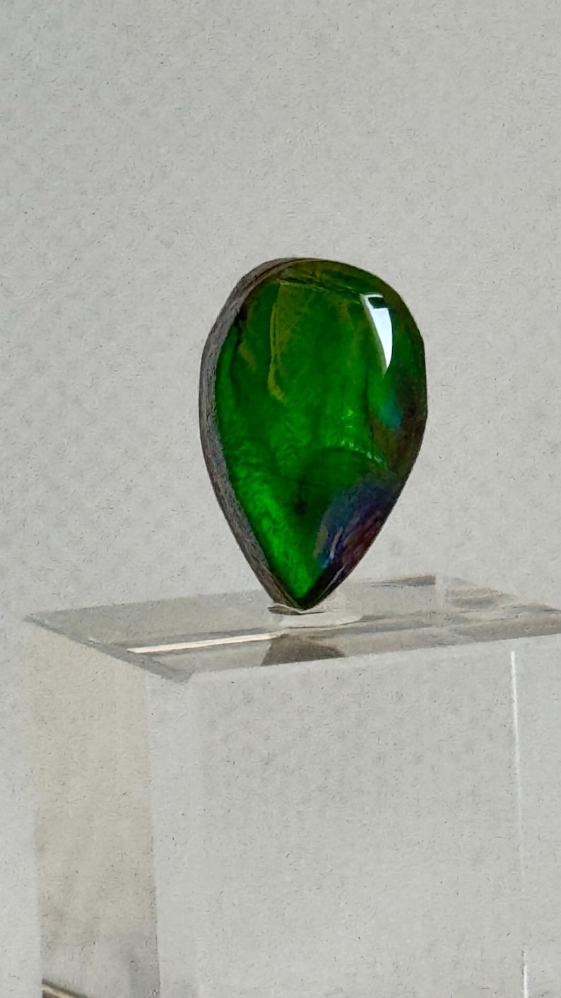 Blue Green Ammolite Tear Drop Shape From Alberta Canada AAA+ Rare ...