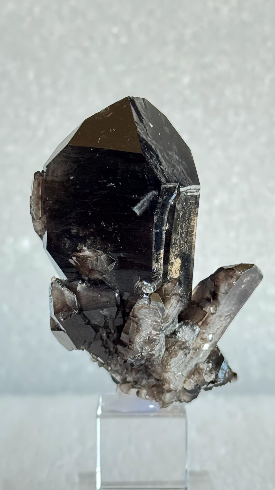 A Sister to Smokey Quartz, Morion Quartz is Very Rare Black Quartz and ...