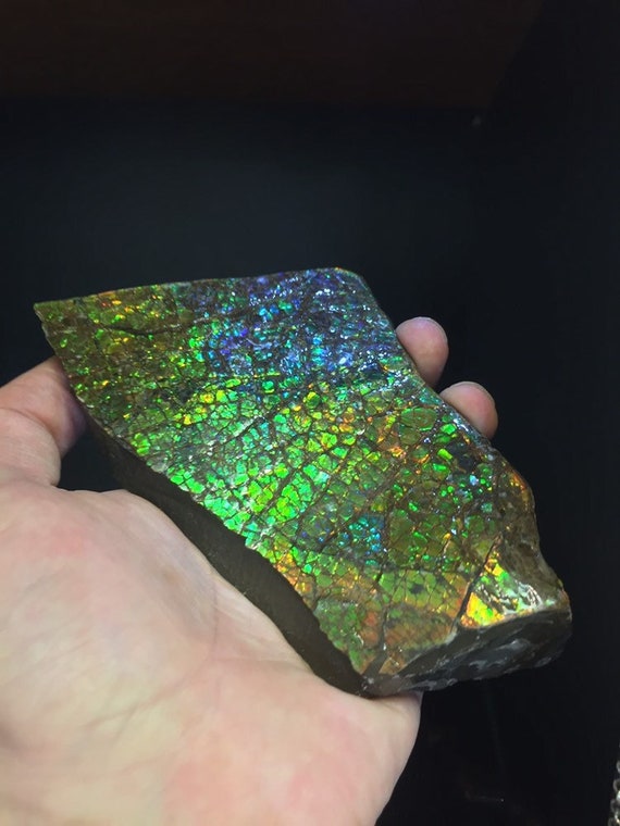 Large Ammolite Slab From Alberta Canada Aaa | Etsy