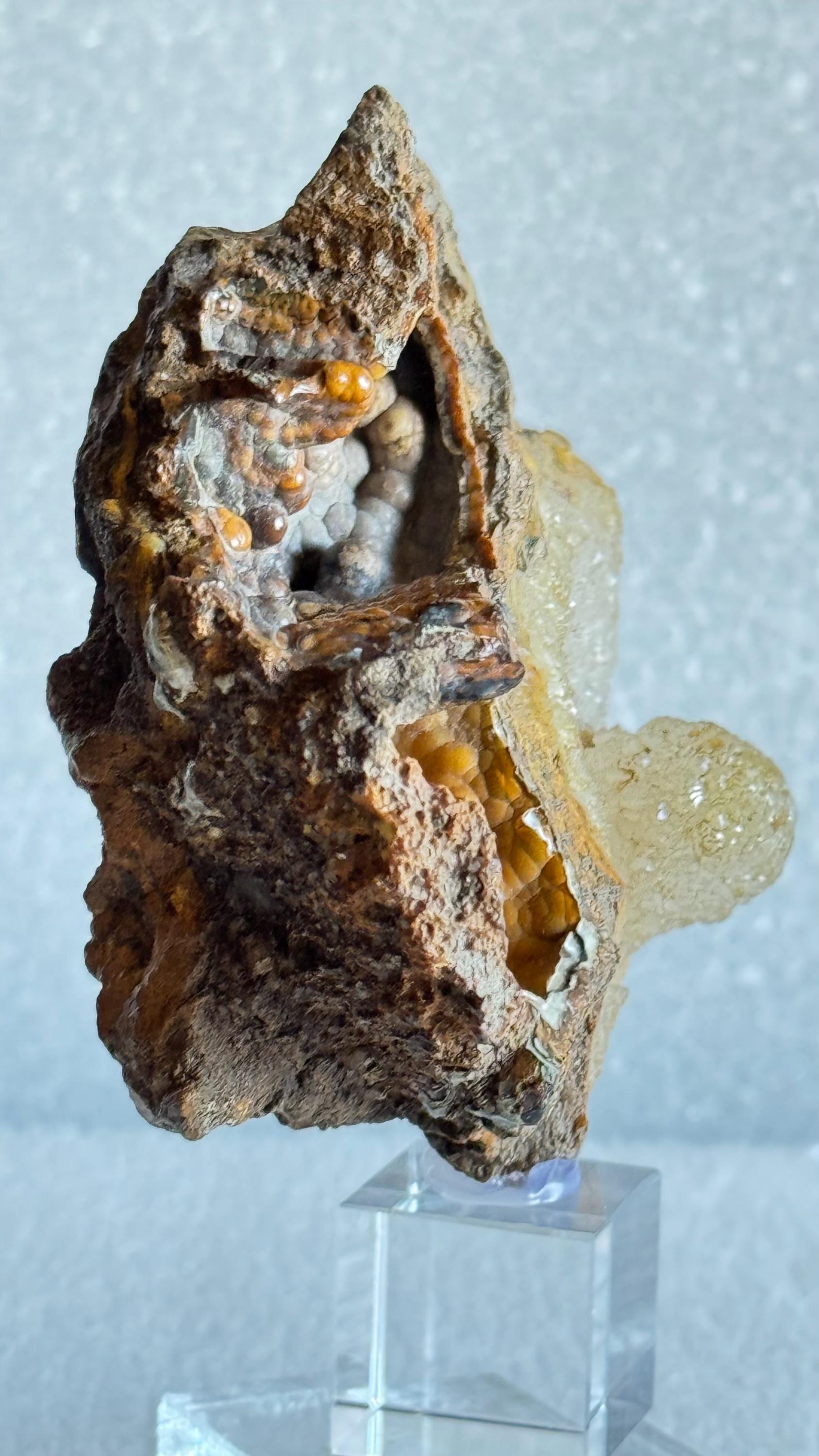 Rare Large Diamond Cave Fossil Agatized Coral Colony Geode AAA - Etsy