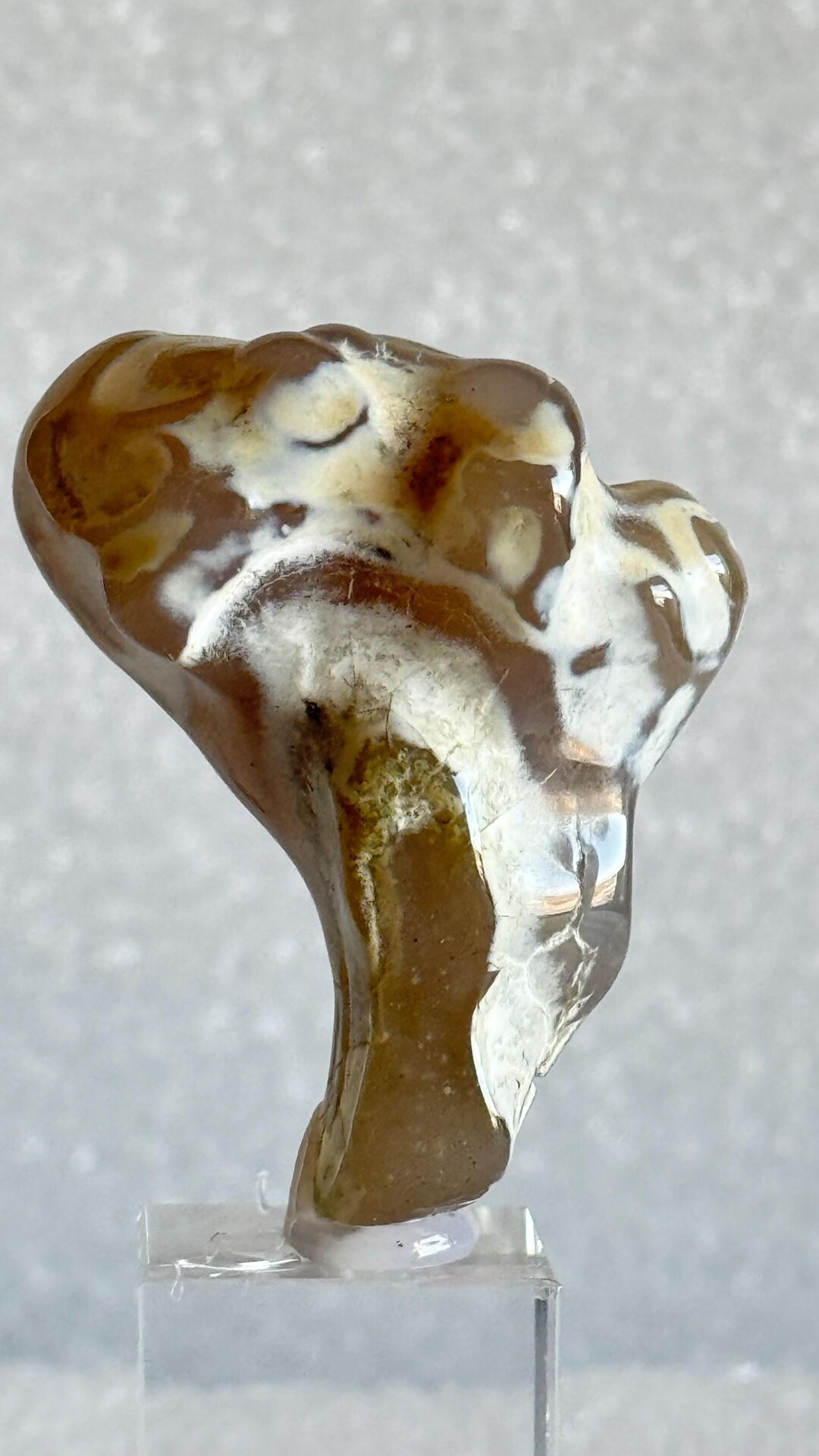 Exceptional Specimen of Extremely Rare and Uncommon Snakeskin Agate ...