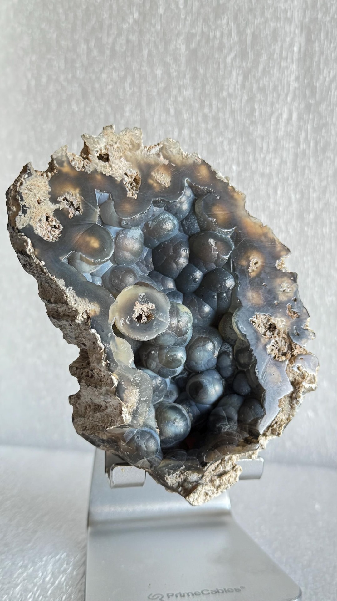Rare Large Diamond Cave Fossil Agatized Coral Colony Geode - Etsy