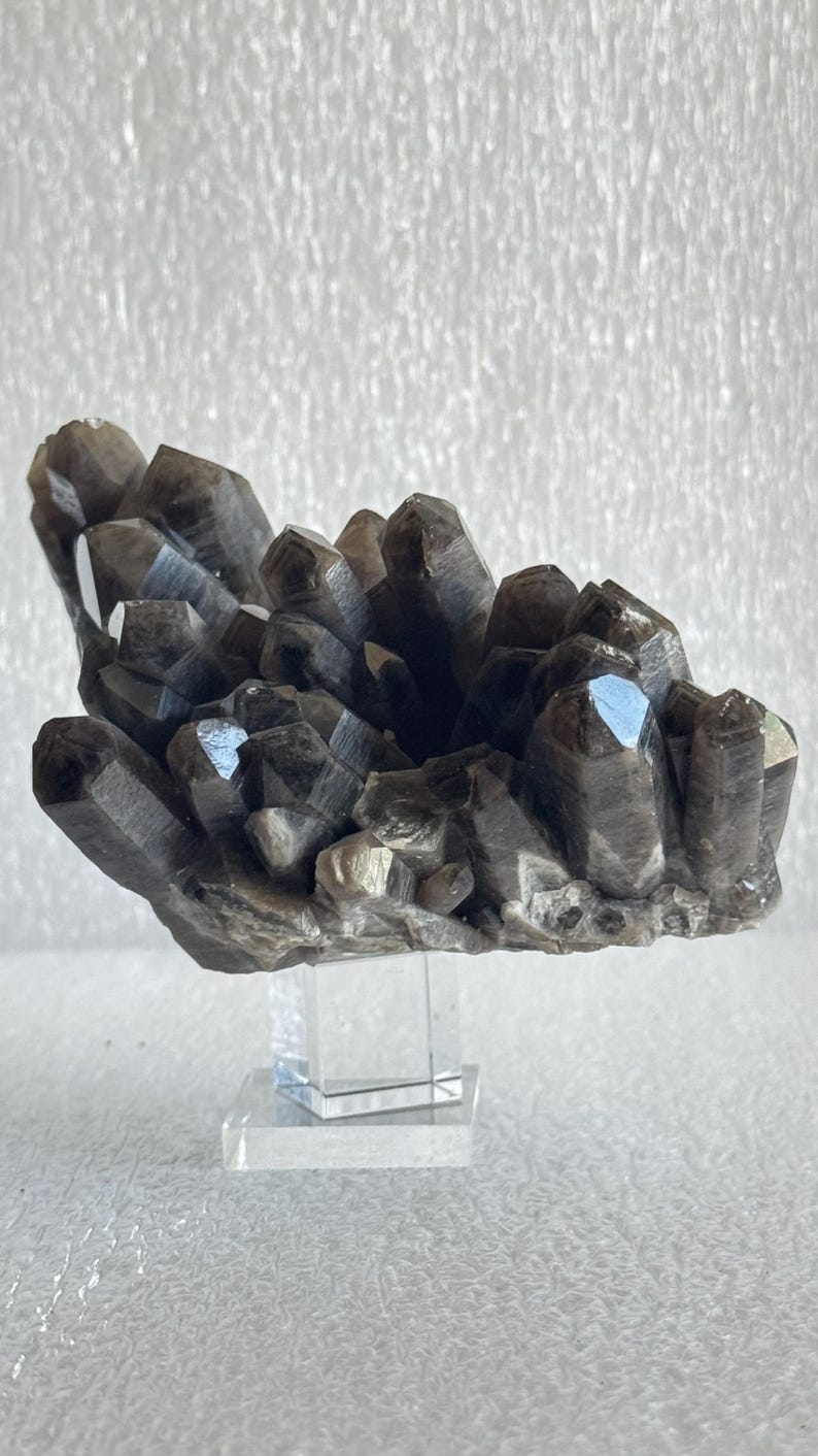 A Sister to Smokey Quartz, Morion Quartz is Very Rare Black Quartz and ...