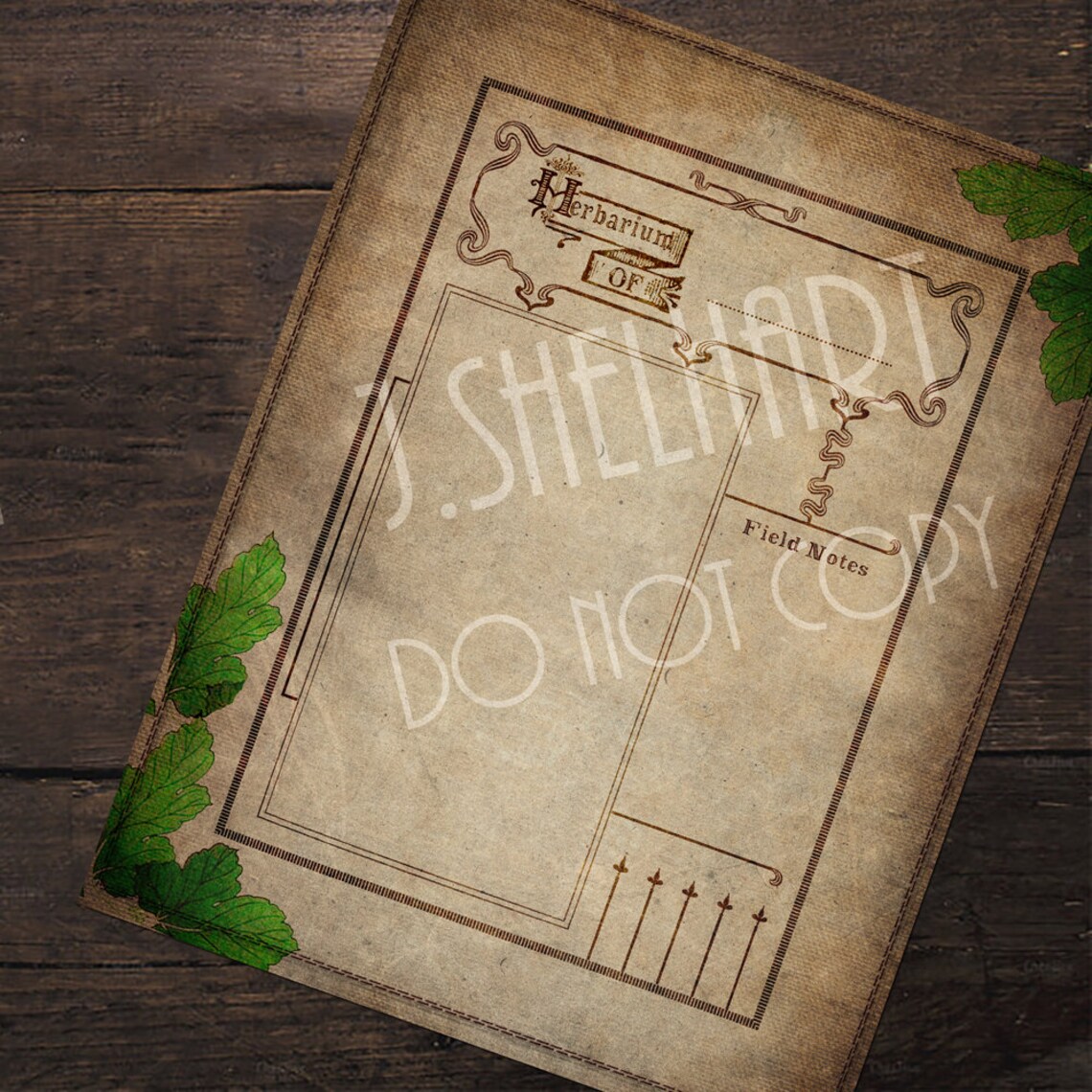 Printable Book of Shadows Herbarium Pages, Field Notes, Botany, Alchemy ...