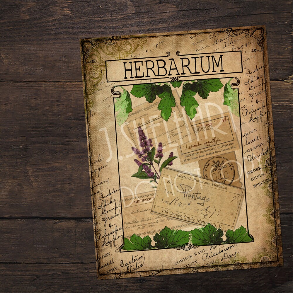 Printable Book of Shadows Herbarium Pages, Field Notes, Botany, Alchemy ...