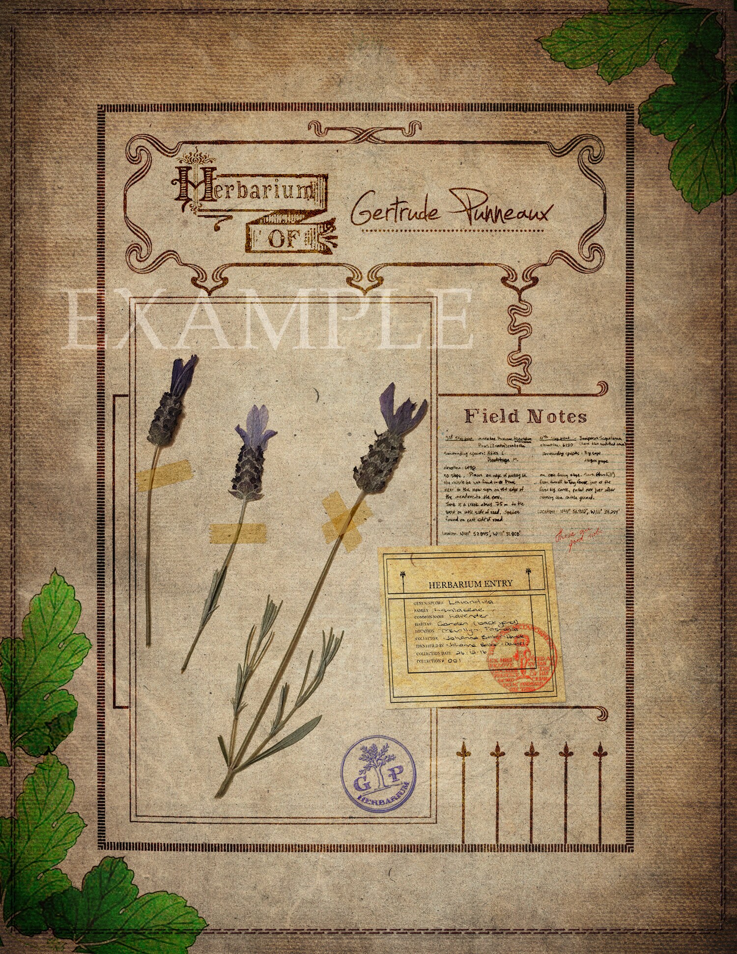 Printable Book of Shadows Herbarium Pages, Field Notes, Botany, Alchemy ...