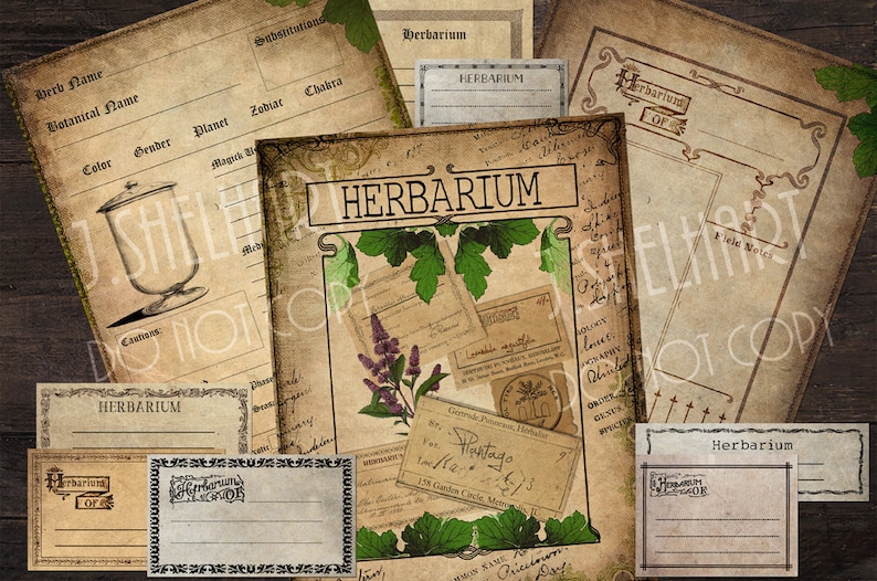 Printable Book of Shadows Herbarium Pages, Field Notes, Botany, Alchemy ...