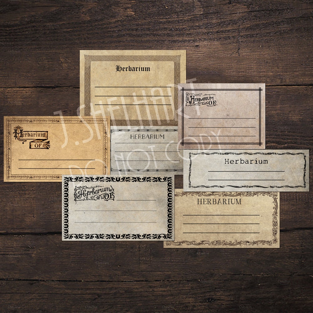 Printable Book of Shadows Herbarium Pages, Field Notes, Botany, Alchemy ...