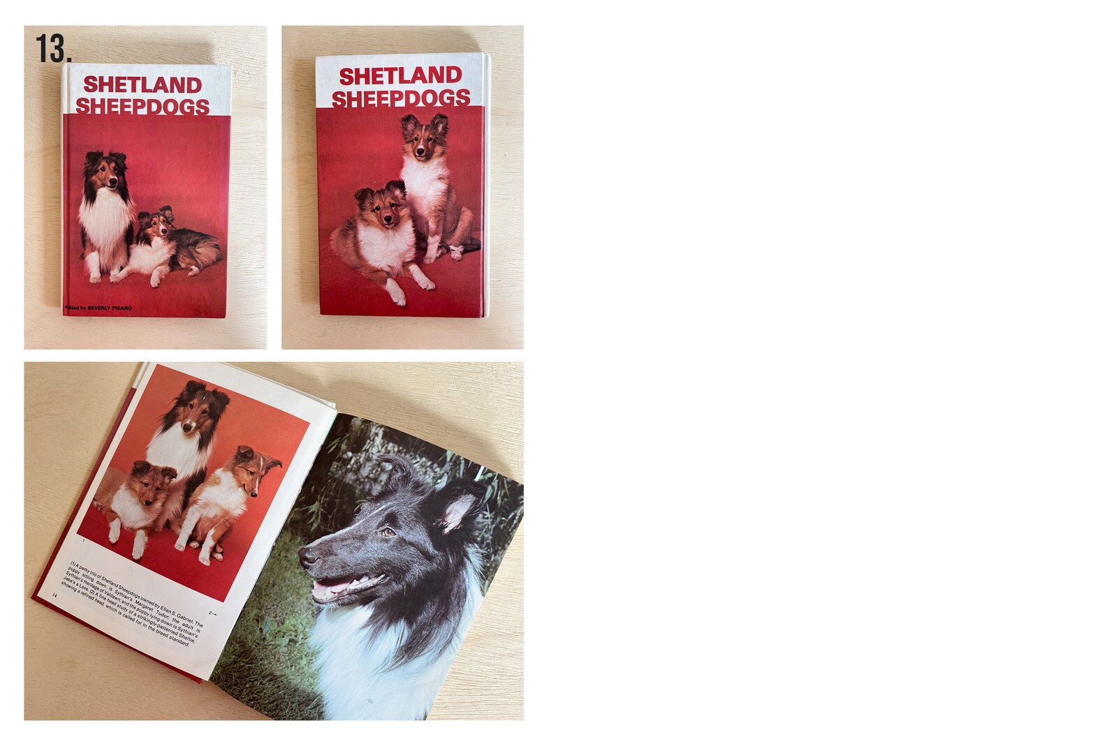 Vintage Dog Breed Books Vintage Book Decor Dog Books Pet - Etsy
