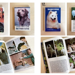 Vintage Dog Breed Books Vintage Book Decor Dog Books Pet - Etsy