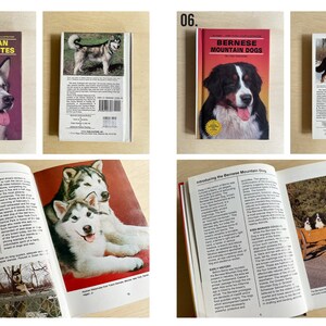 Vintage Dog Breed Books Vintage Book Decor Dog Books Pet - Etsy