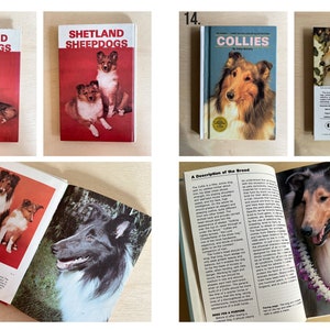 Vintage Dog Breed Books | Vintage Book Decor | Dog Books | Pet Books ...