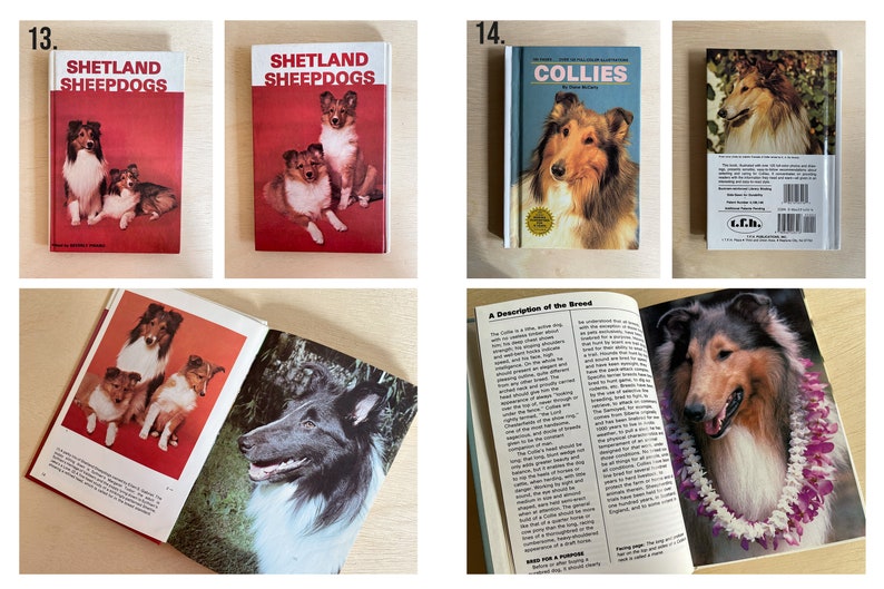 Vintage Dog Breed Books Vintage Book Decor Dog Books Pet - Etsy