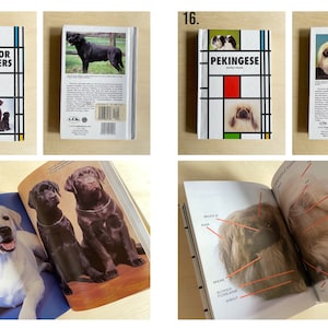 Vintage Dog Breed Books | Vintage Book Decor | Dog Books | Pet Books ...