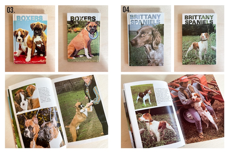 Vintage Dog Breed Books Vintage Book Decor Dog Books Pet - Etsy