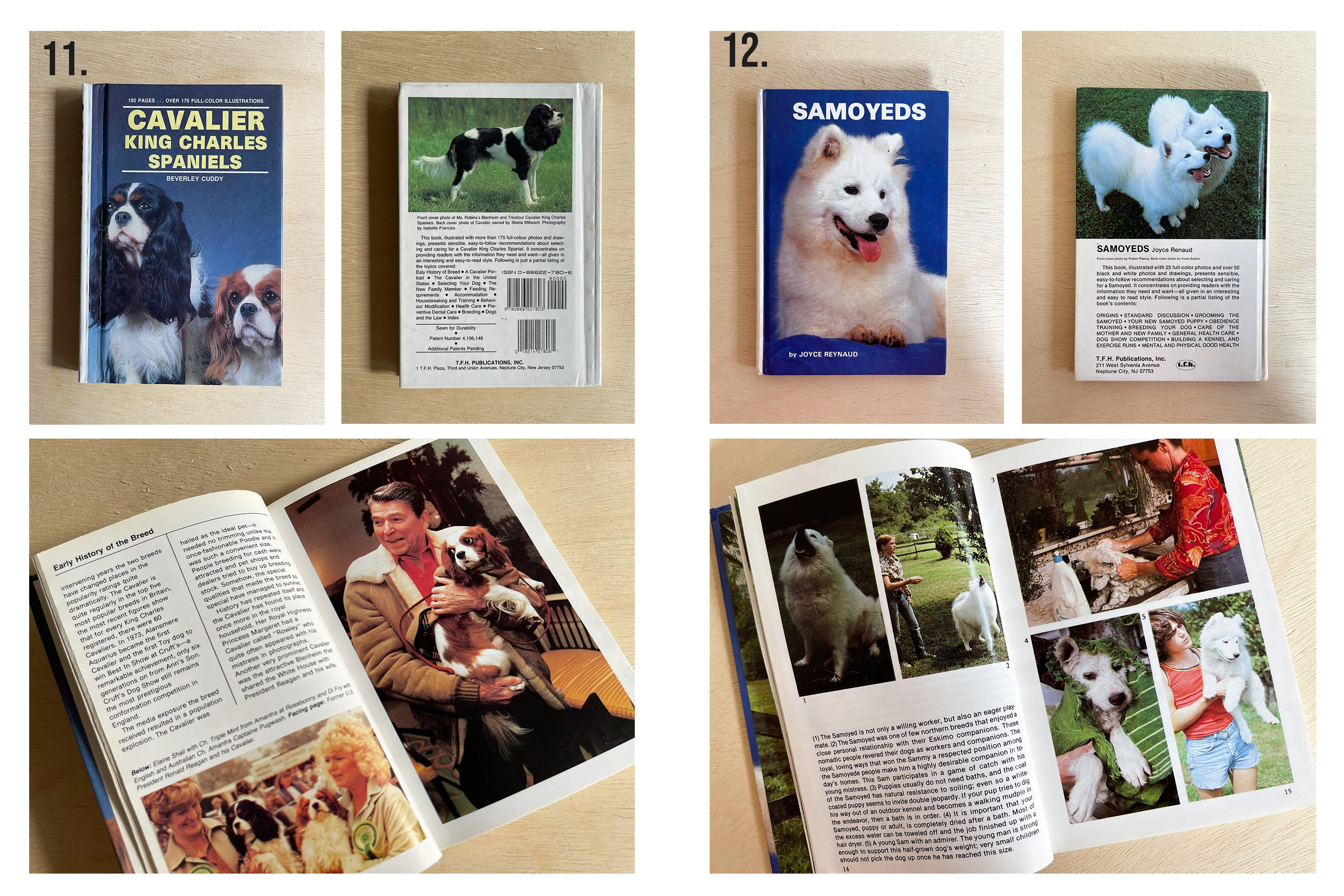 Vintage Dog Breed Books Vintage Book Decor Dog Books Pet - Etsy