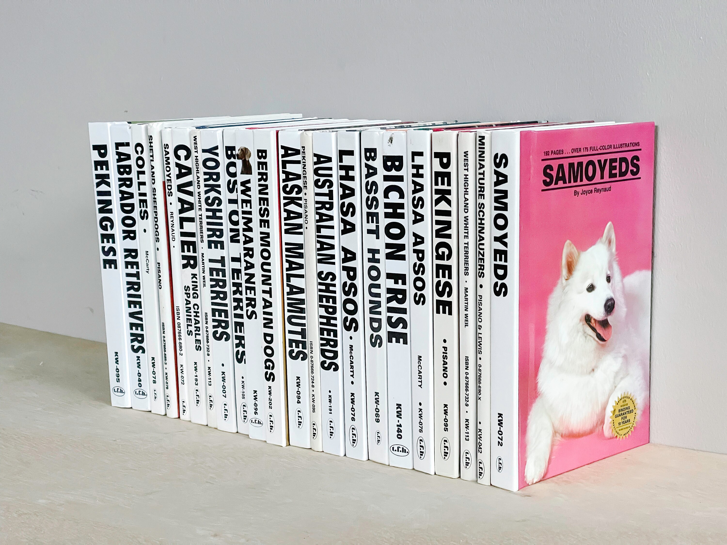 Vintage Dog Breed Books Vintage Book Decor Dog Books Pet - Etsy