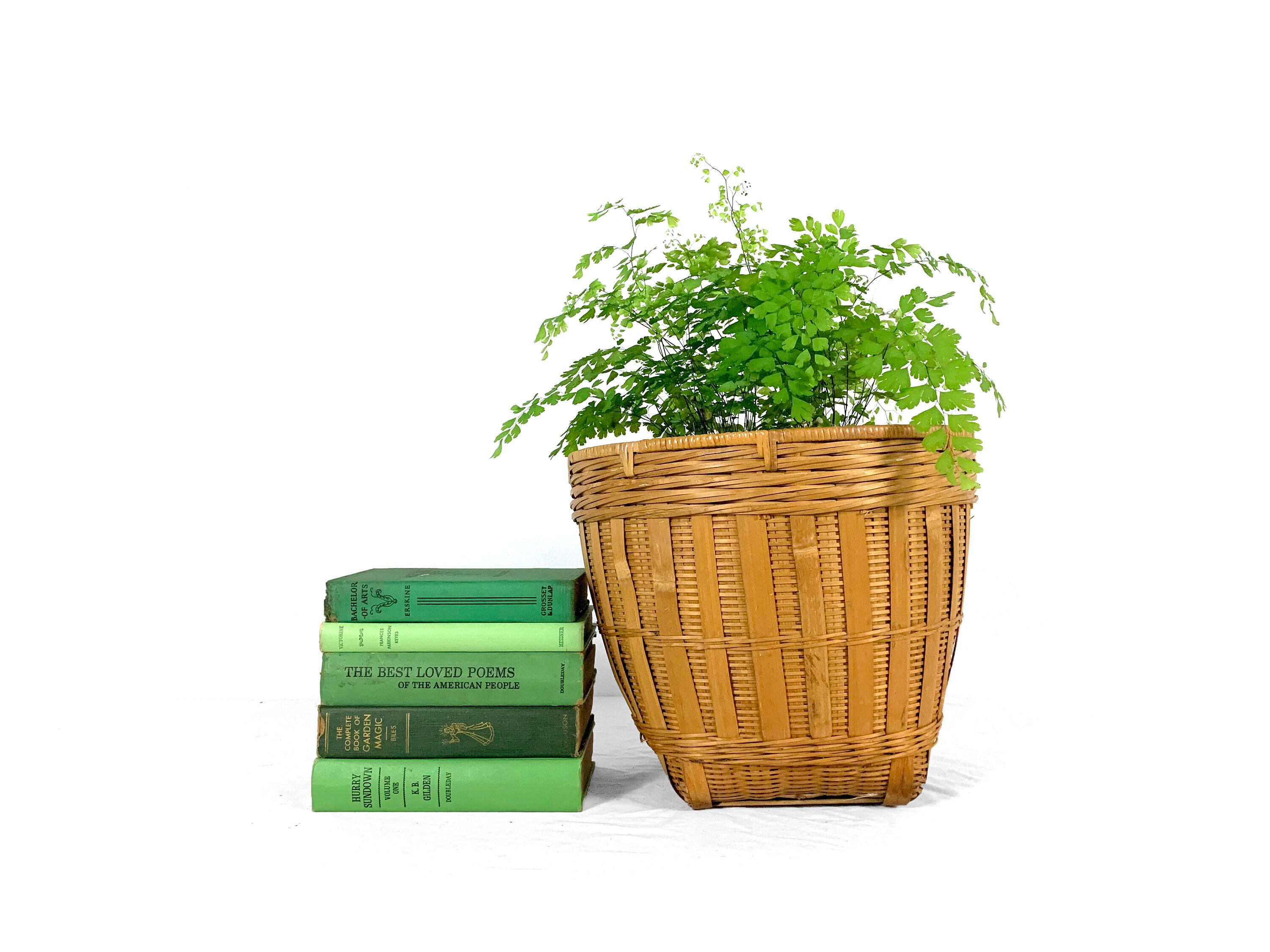 Asian Split Bamboo Planter Chinoiserie Boho Style Vintage Chinese ...