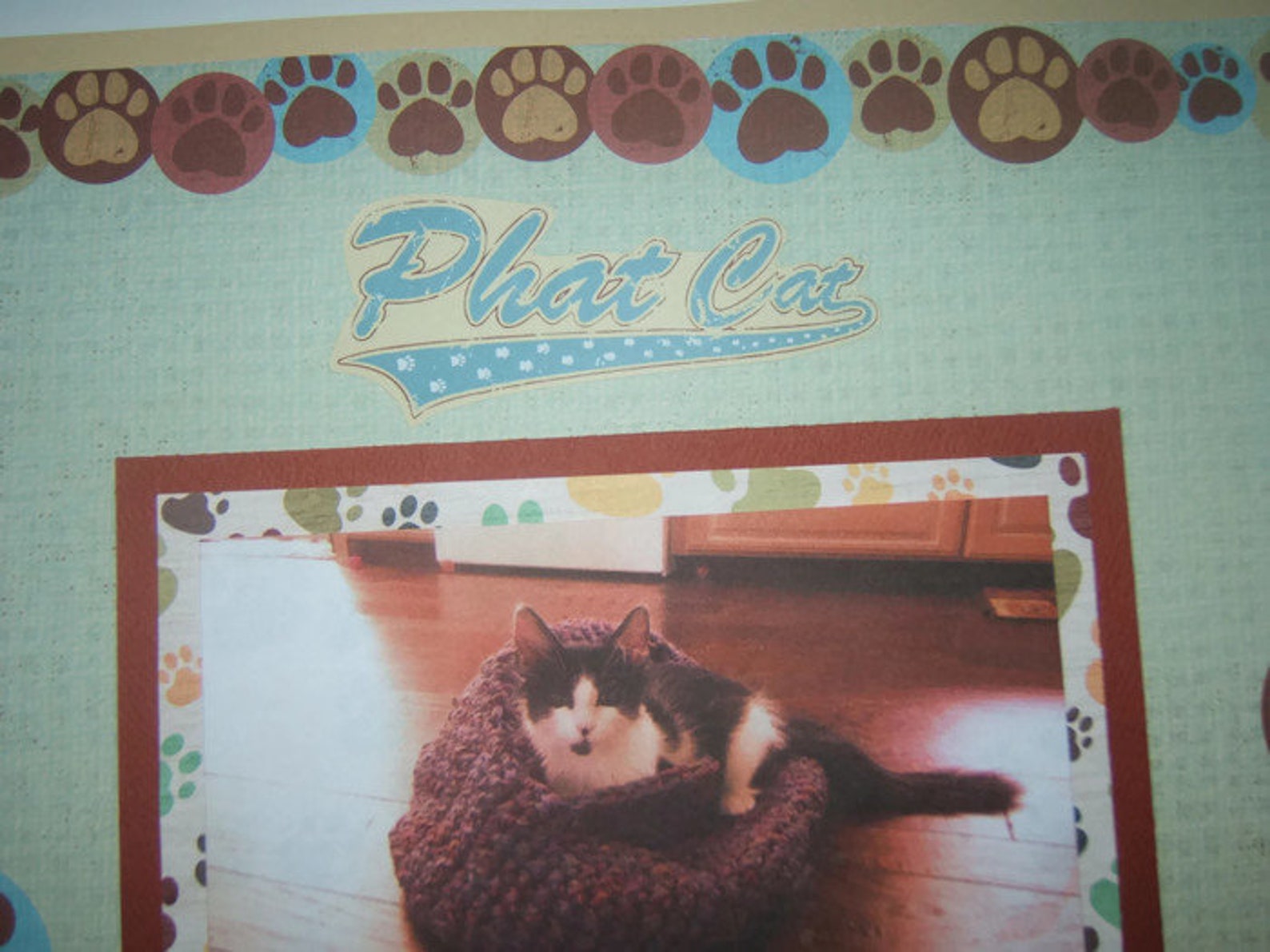 Cat Loss Gift Pet Loss Gift Pet Loss Frame Pet Memorial - Etsy
