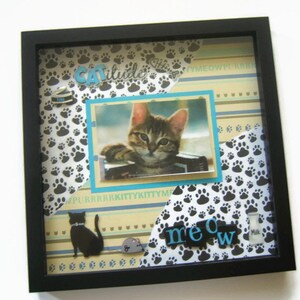 Cat Shadow Box - Pet Loss Gift - Pet Loss Frame - Pet Memorial - Pet ...