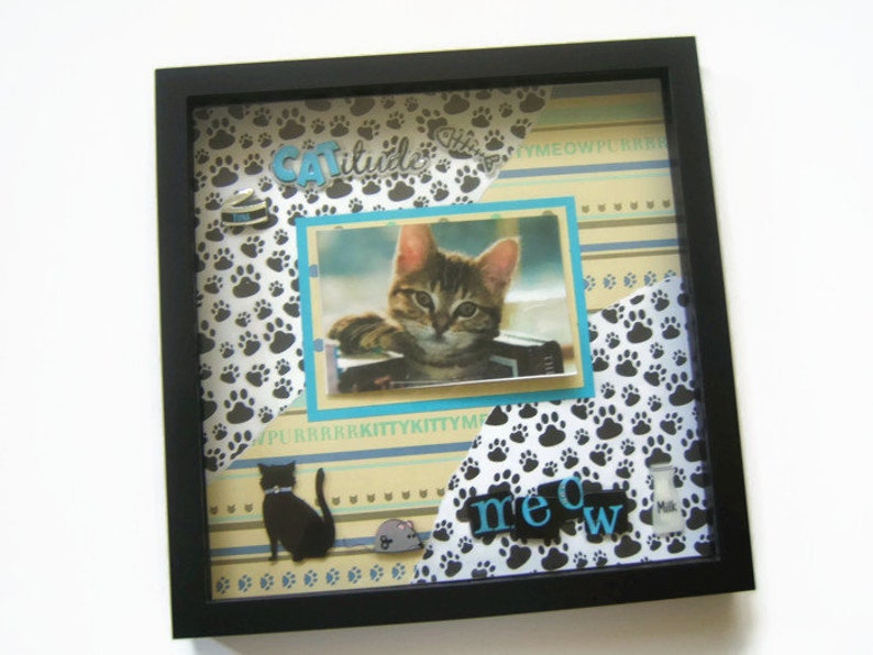 Cat Shadow Box Pet Loss Gift Pet Loss Frame Pet Memorial - Etsy