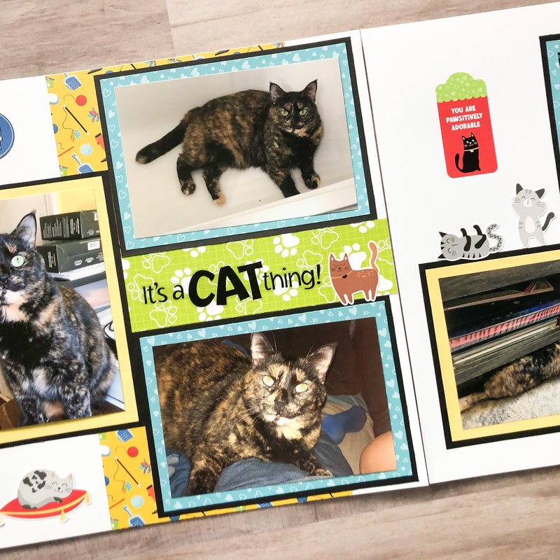 Cat Scrapbook - Etsy