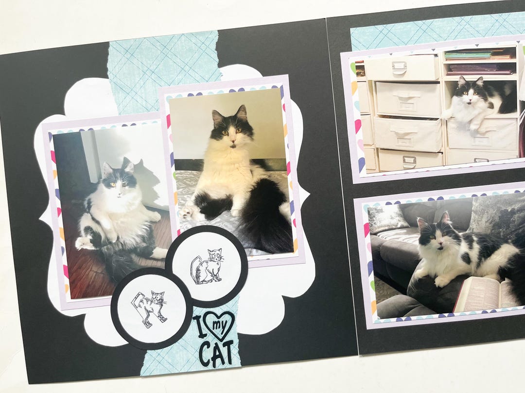 Cat Scrapbook Pages - Premade Cat Scrapbook Pages - Kitten Scrapbook ...