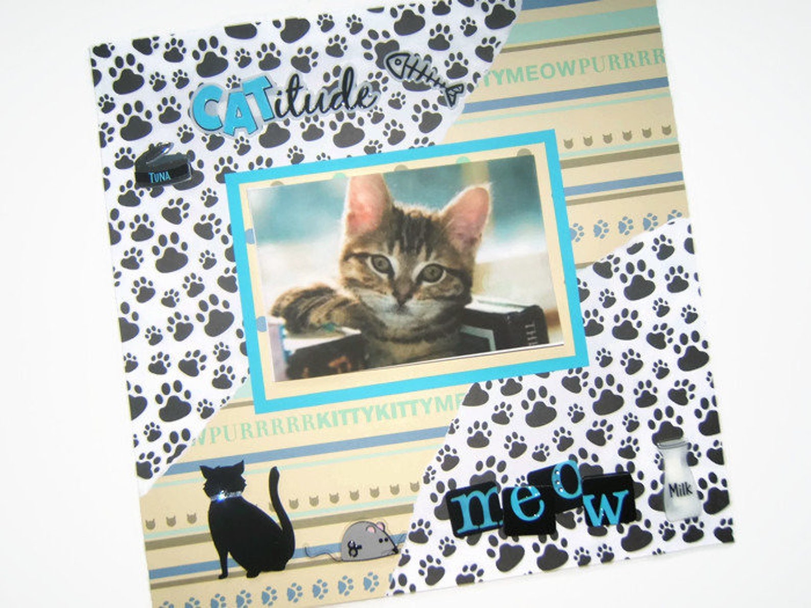 Cat Shadow Box Pet Loss Gift Pet Loss Frame Pet Memorial - Etsy