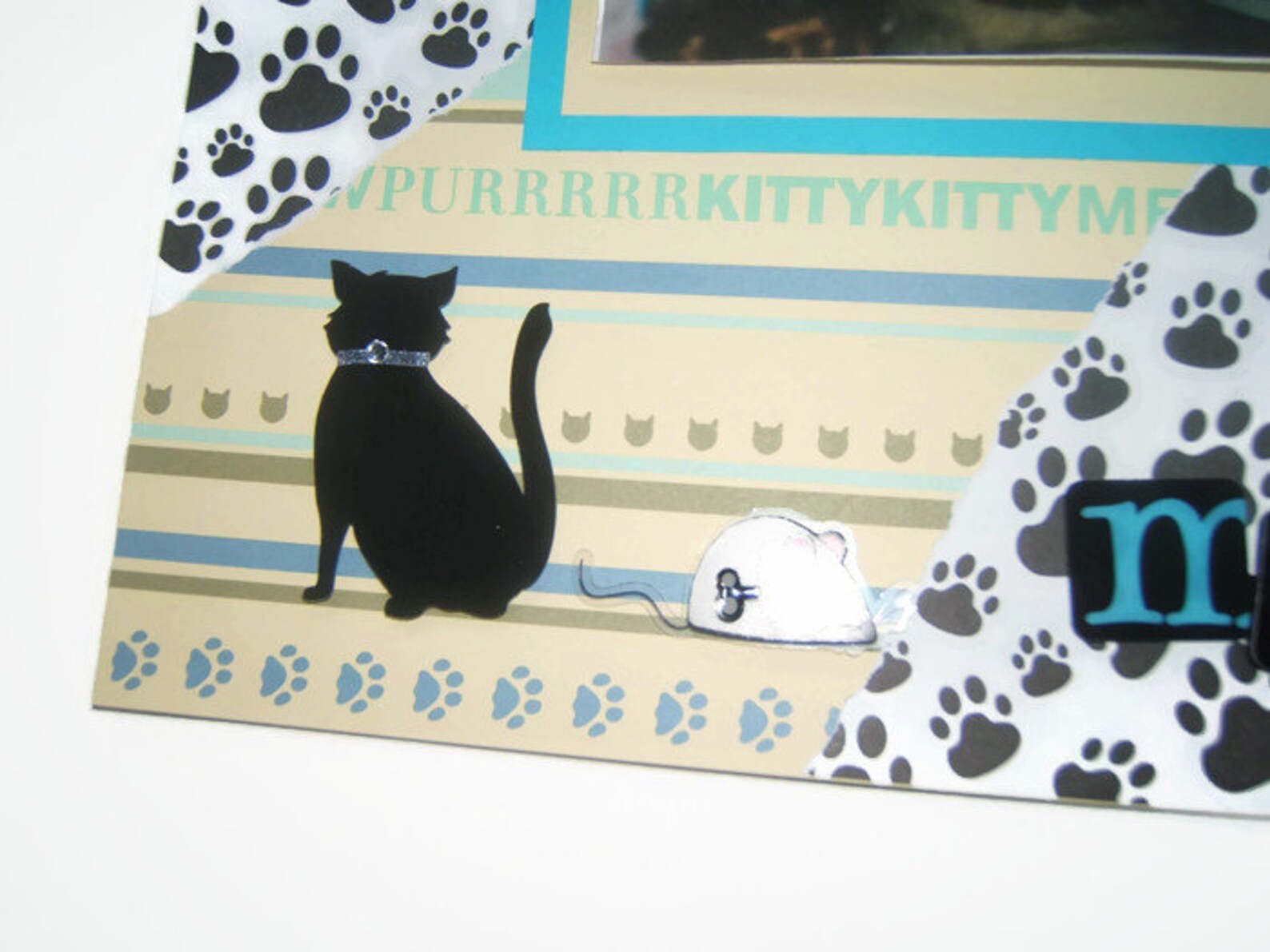 Cat Shadow Box Pet Loss Gift Pet Loss Frame Pet Memorial - Etsy
