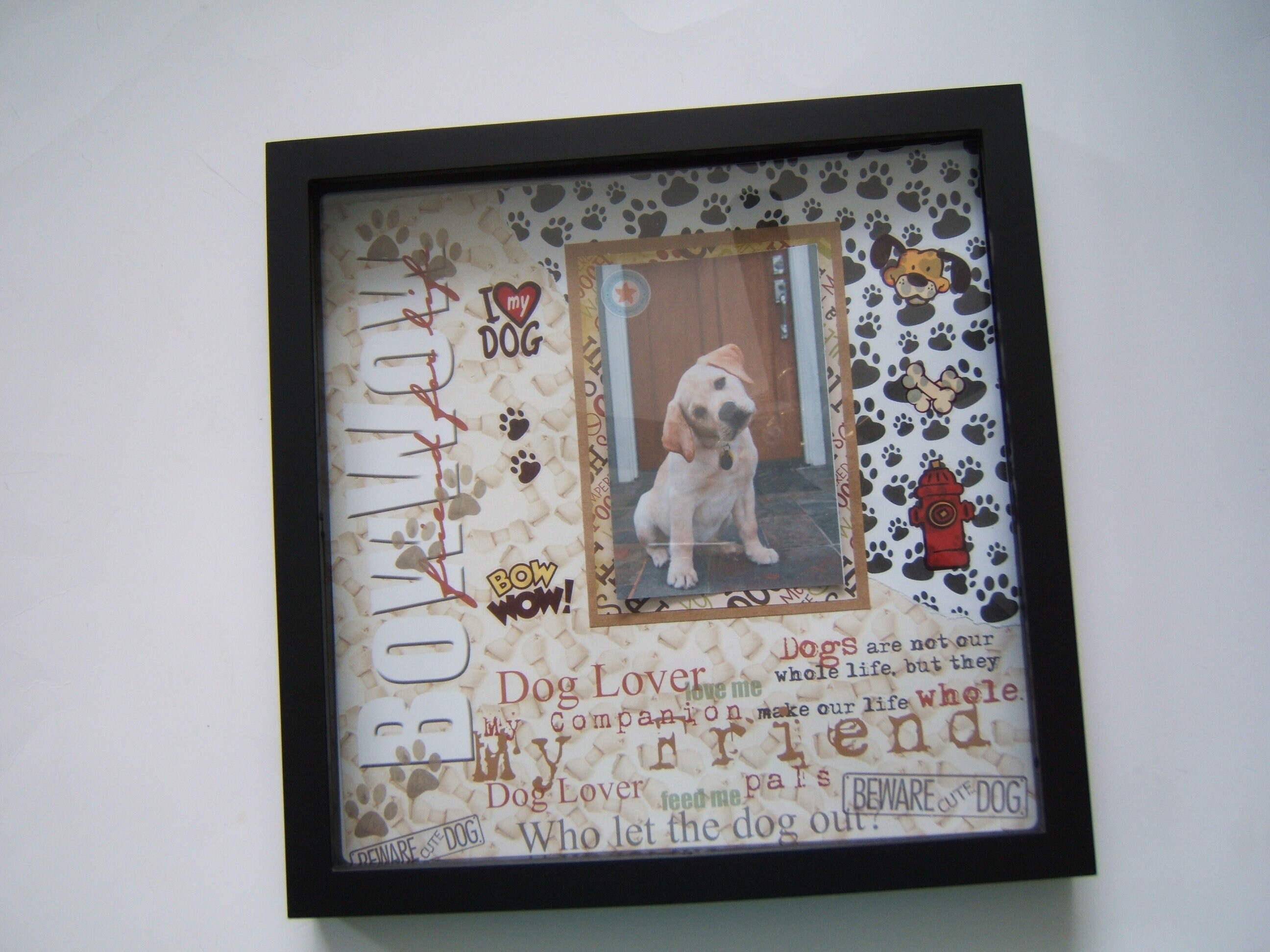 Dog Shadow Box Pet Loss Gift Pet Loss Frame Pet Memorial - Etsy