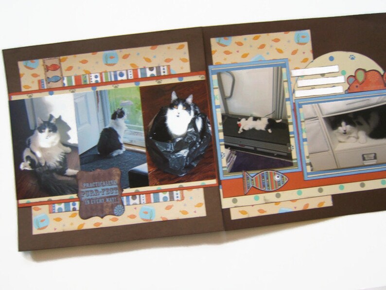 Cat Scrapbook Pages - Premade Cat Scrapbook Pages - Kitten Scrapbook ...