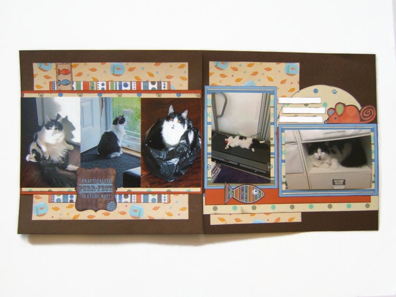 Cat Scrapbook Pages Premade Cat Scrapbook Pages Kitten - Etsy