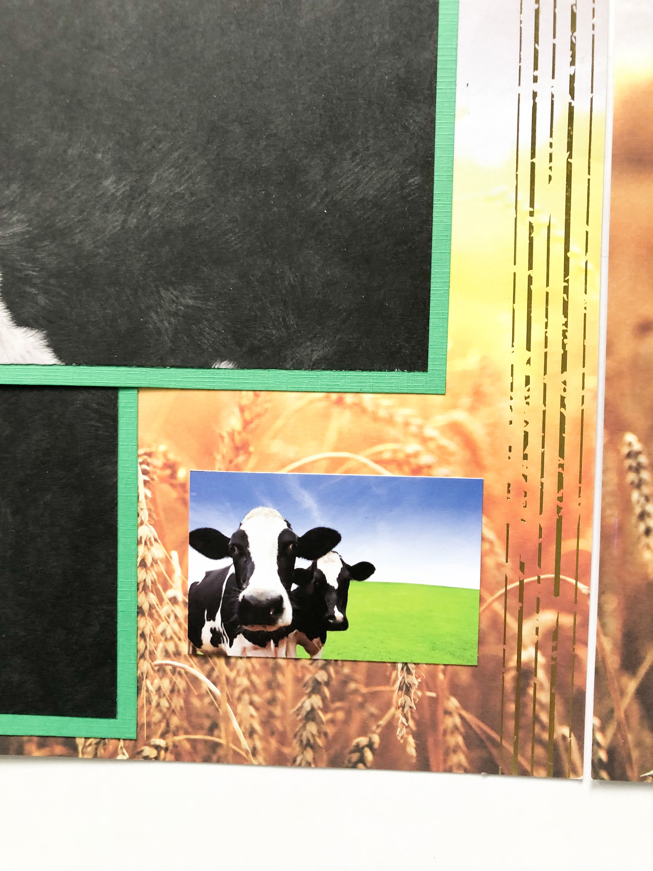 Farm Pages Premade Farm Scrapbook Pages Farm Scrapbook - Etsy