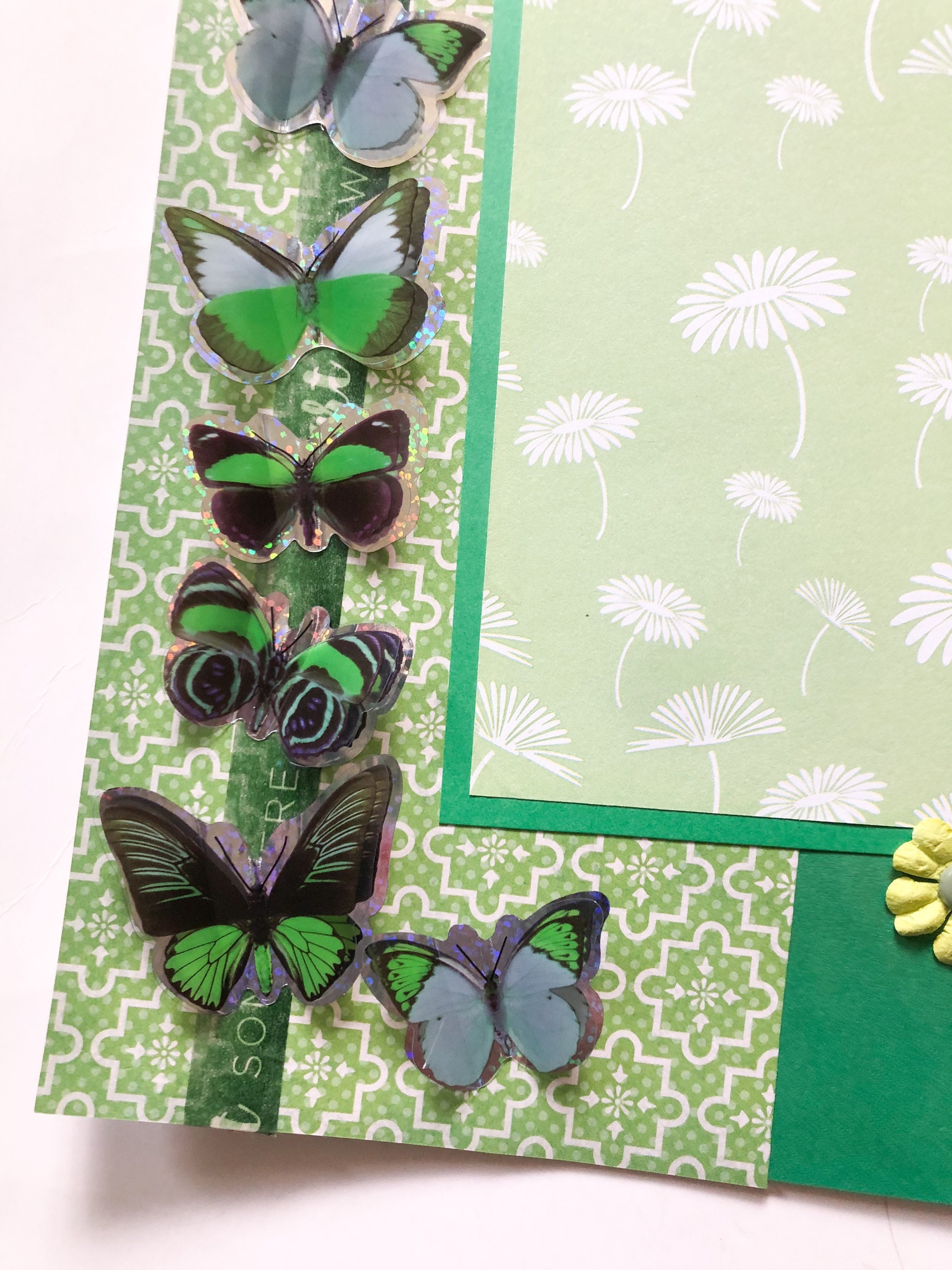 Butterfly Scrapbook Layouts - 12 by 12 Heritage Scrapbook Pages ...