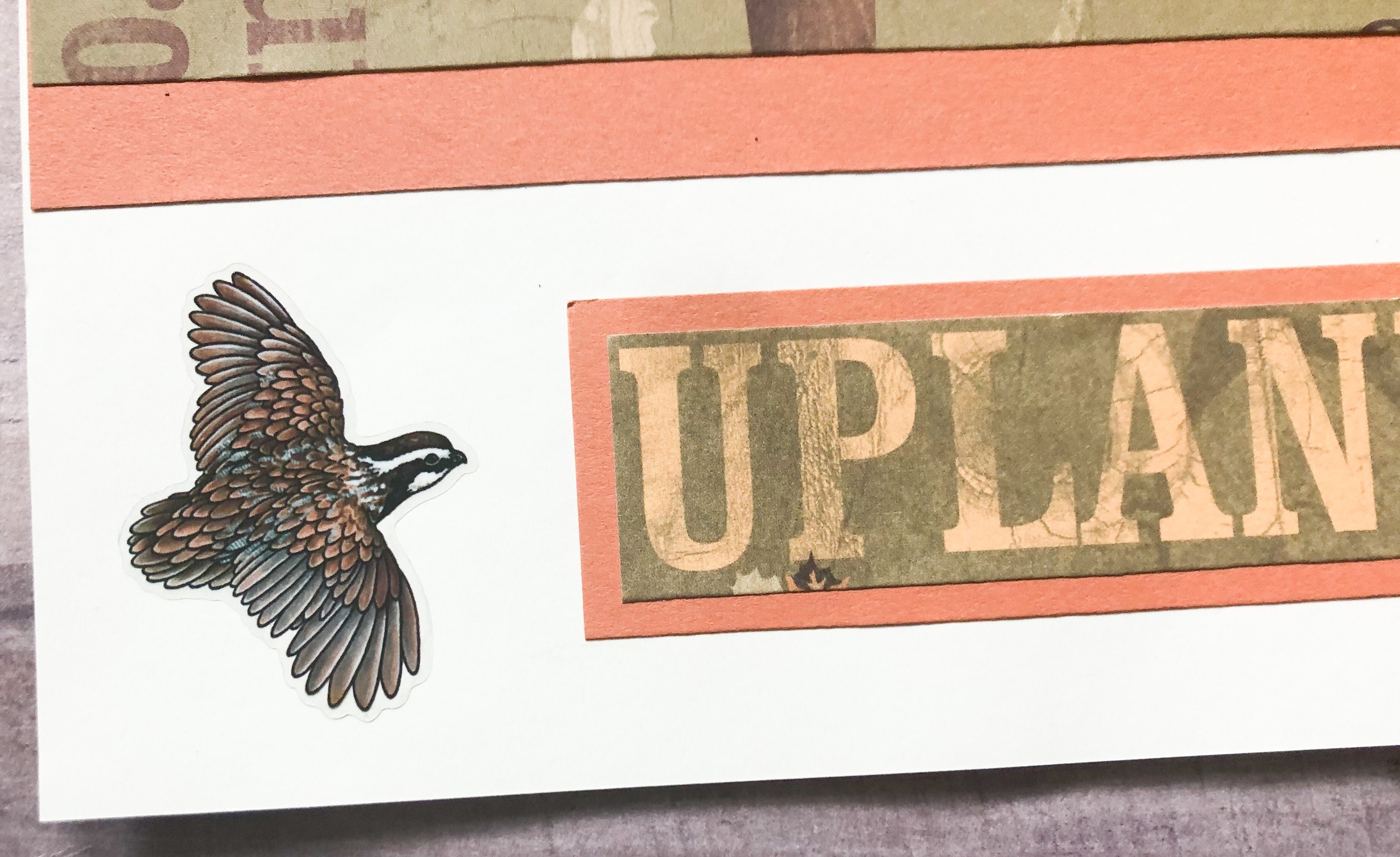 Bird Hunting Scrapbook Layouts 12 by 12 Fowl Hunting Scrapbook Pages ...